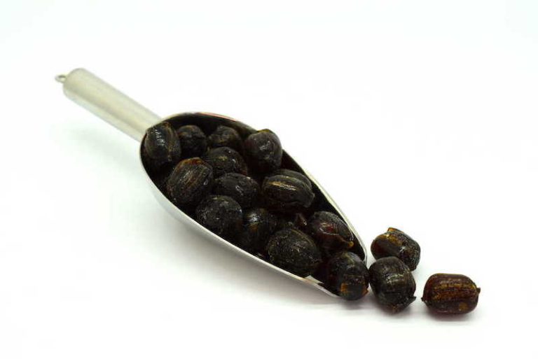 Horehound Rock | Boiled Sweets | Saltire Candy | Online Scottish Sweet Shop